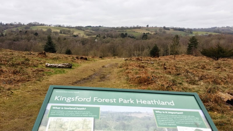 Lucy's Wednesday walks: Kinver Edge walk. More rock houses