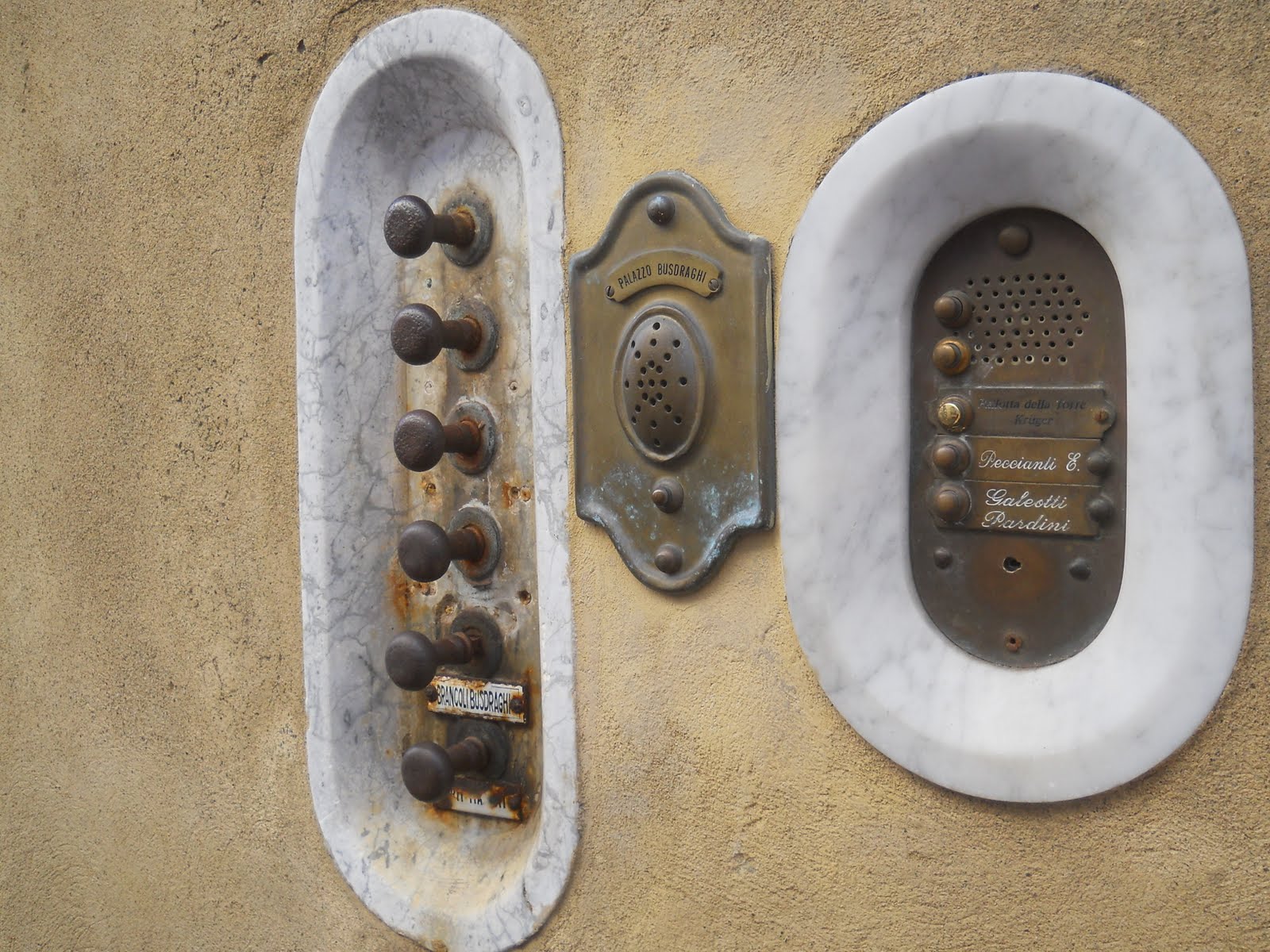 HOMING PIGEON: Campanelli