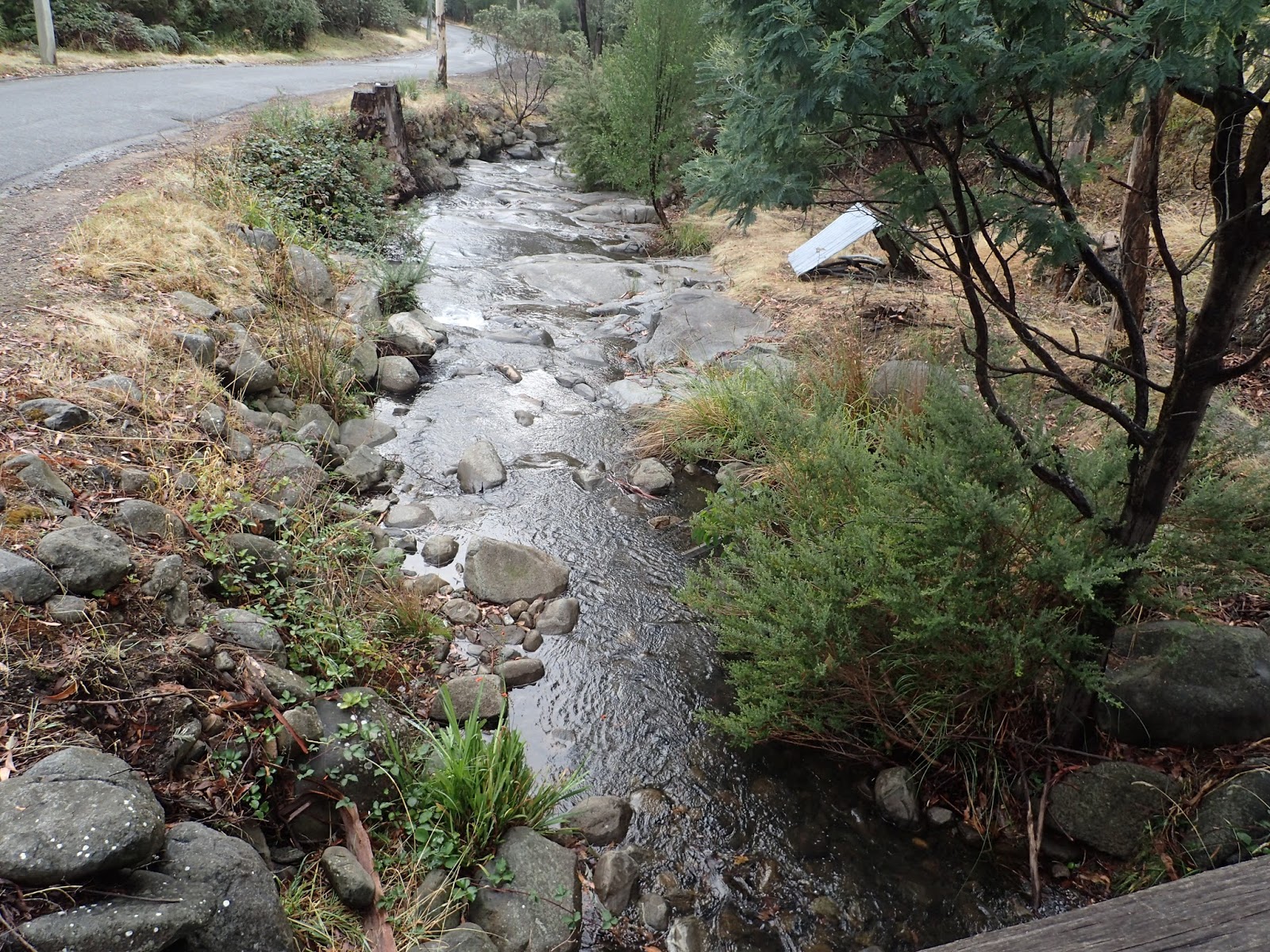 New Town Rivulet Circuit | Hiking South East Tasmania