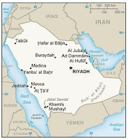 Avian Flu Diary: Saudi MOH: Another Household Cluster Of MERS