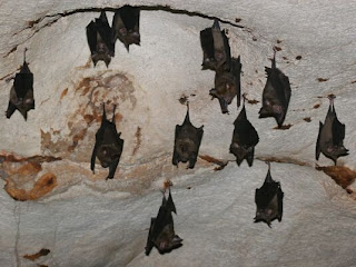 YARASA RESİMLERİ-Manzaralar