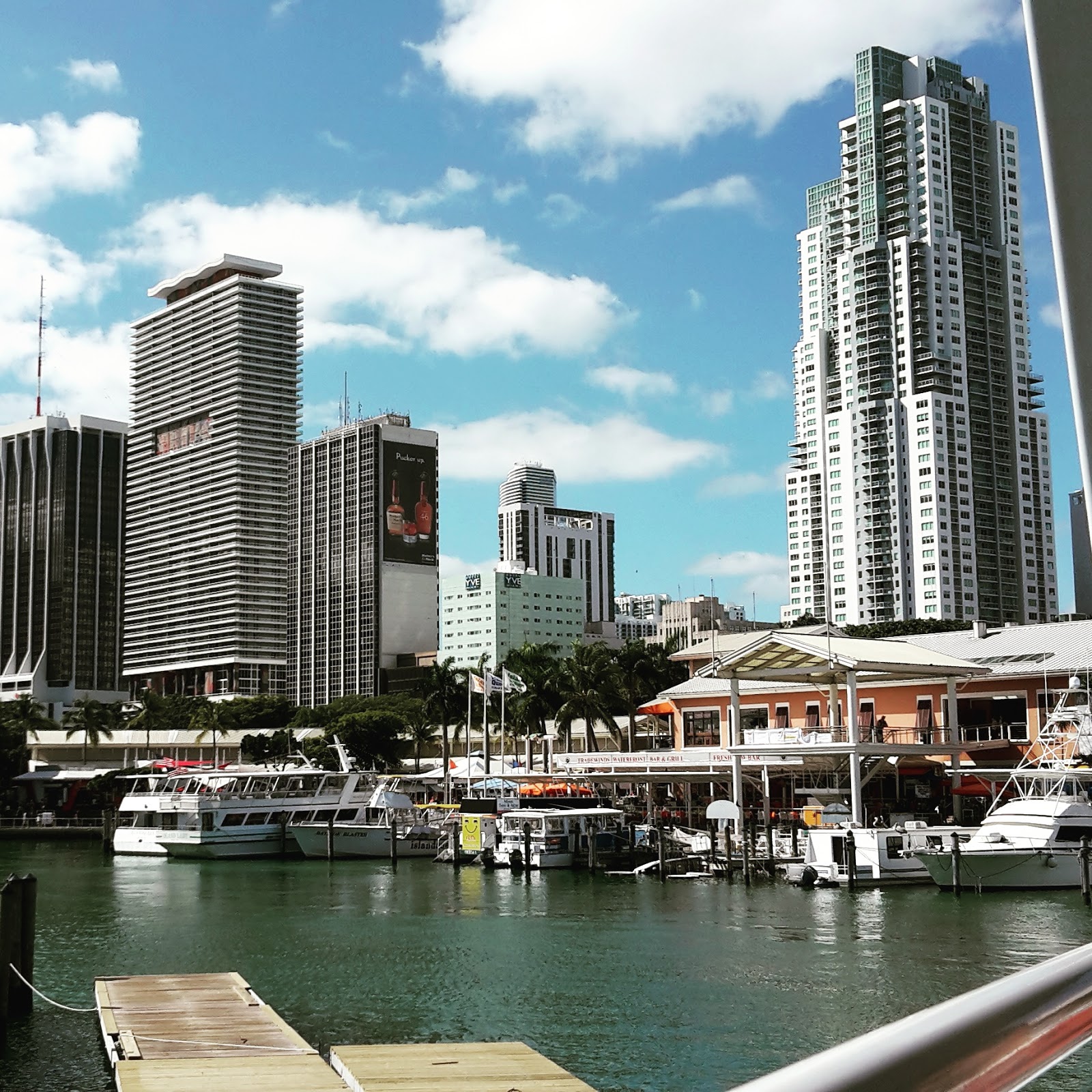 17 ways to experience Downtown Miami (for free!) - The Sharonicles