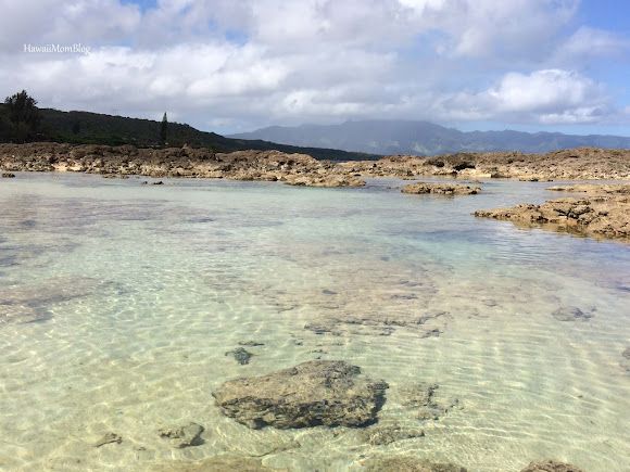 Hawaii Mom Blog: Pupukea Tide Pools