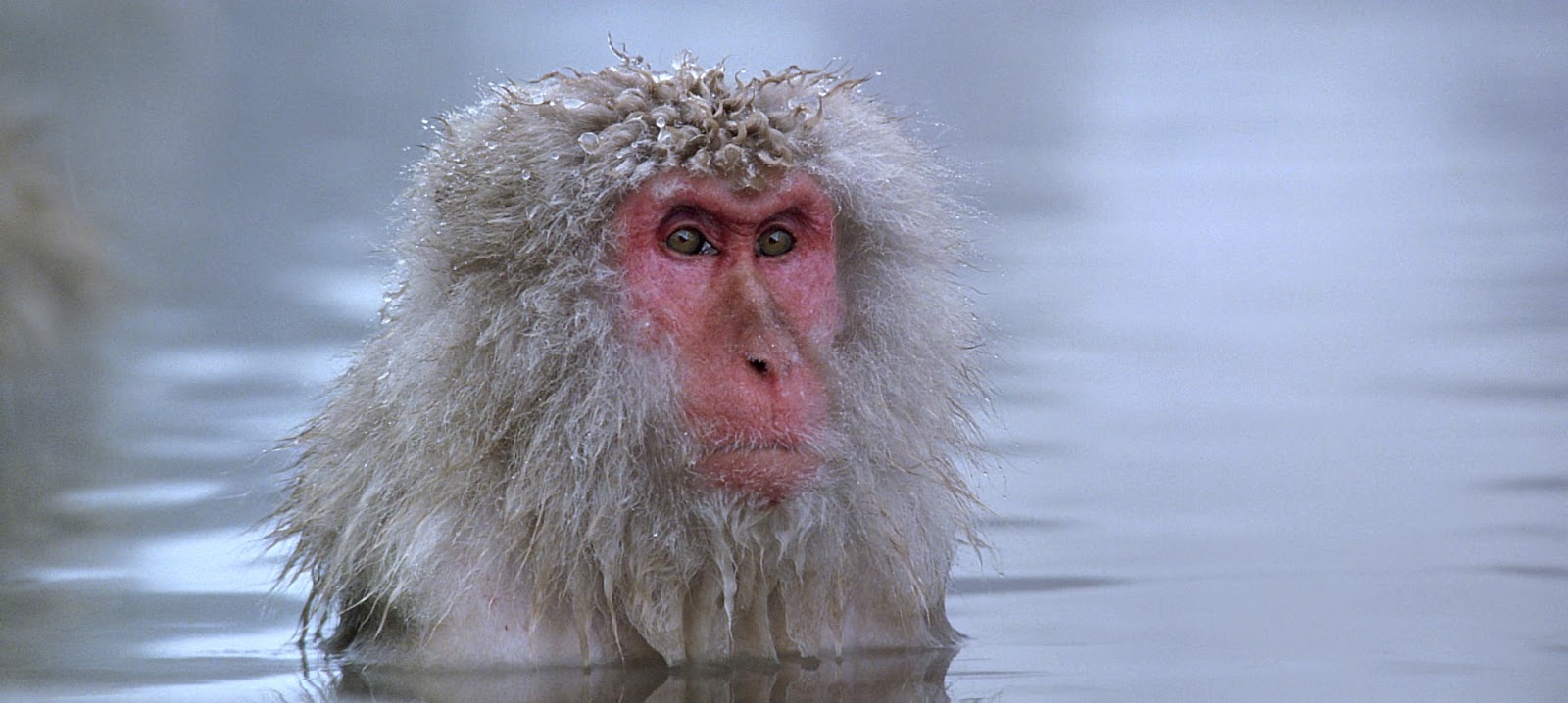 "Baraka" (1992), de Ron Fricke - 03 de setembro de 2013