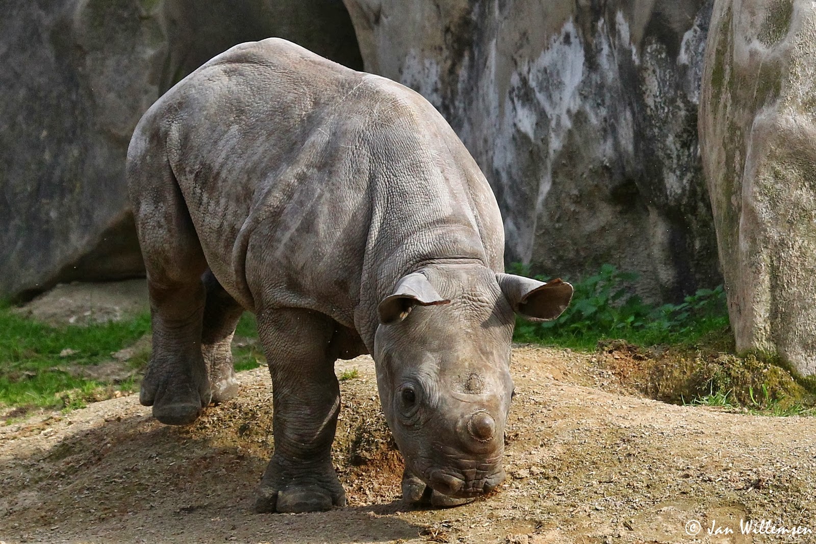 Jan Willemsen Fotografie: ZOO Krefeld (Germany)