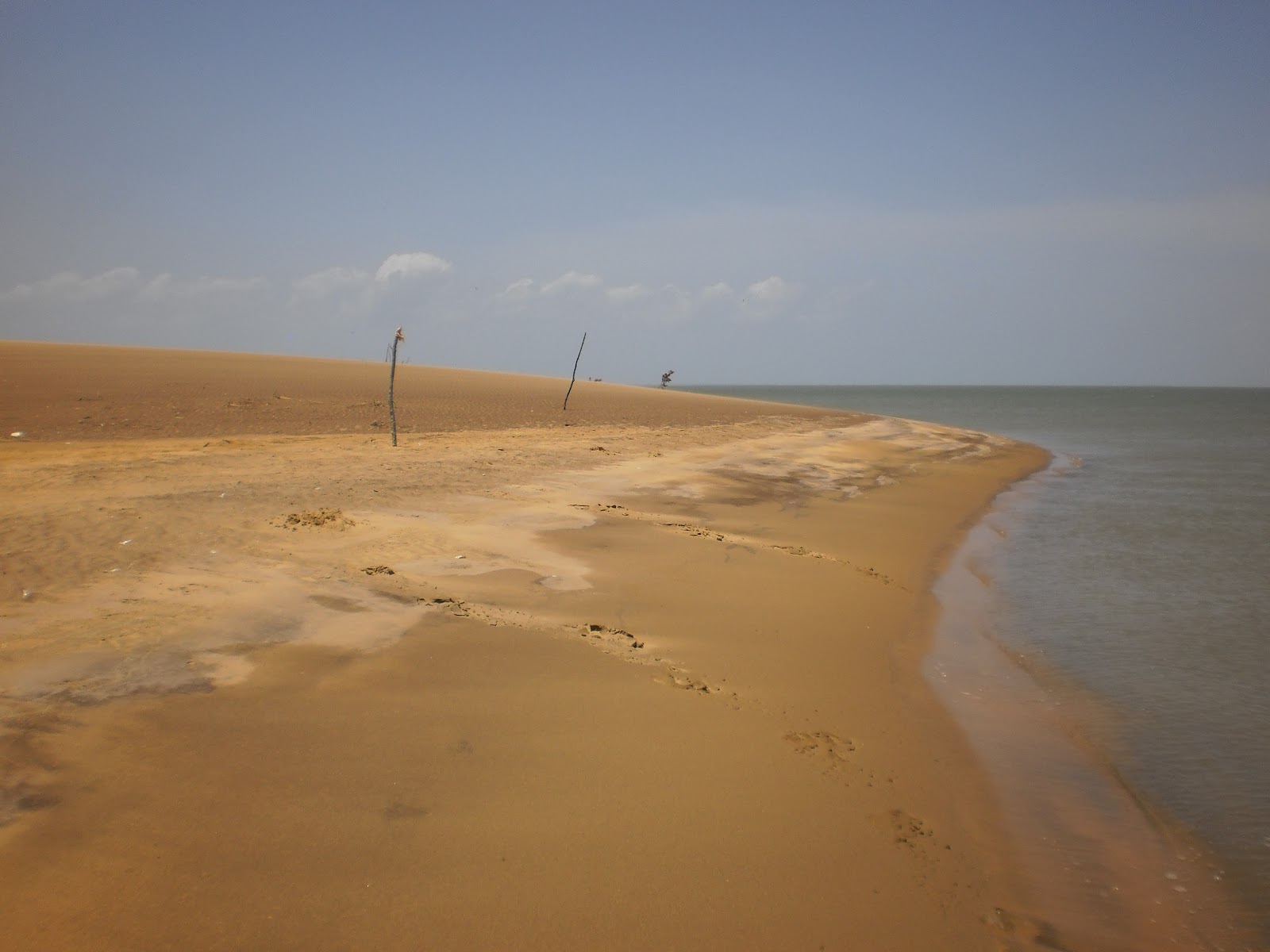 ActionAndEmotion: Isla Zapara- Edo. Zulia