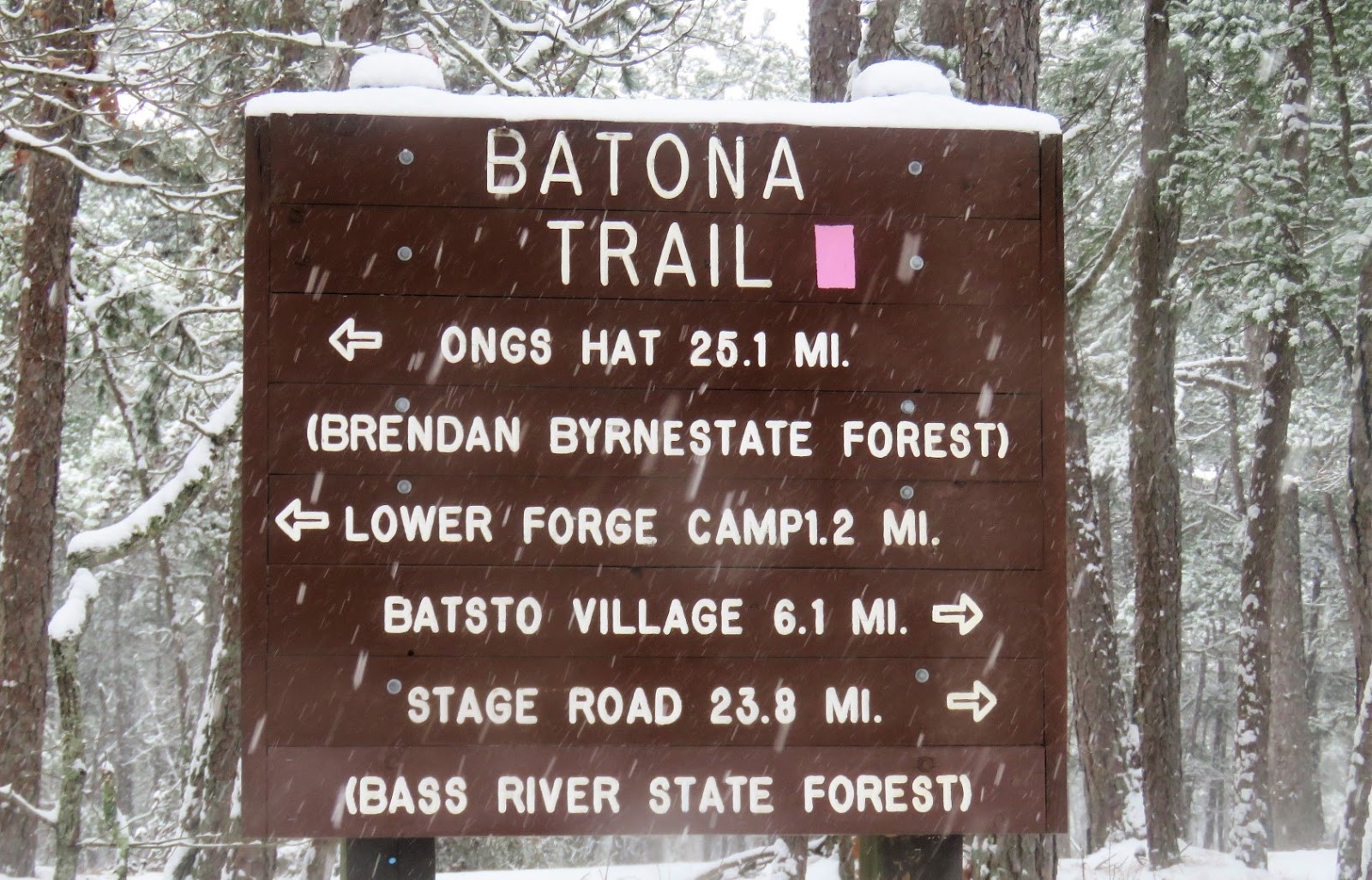 Gone Hikin': Wharton State Forest, NJ - Batona Trail from Carranza ...