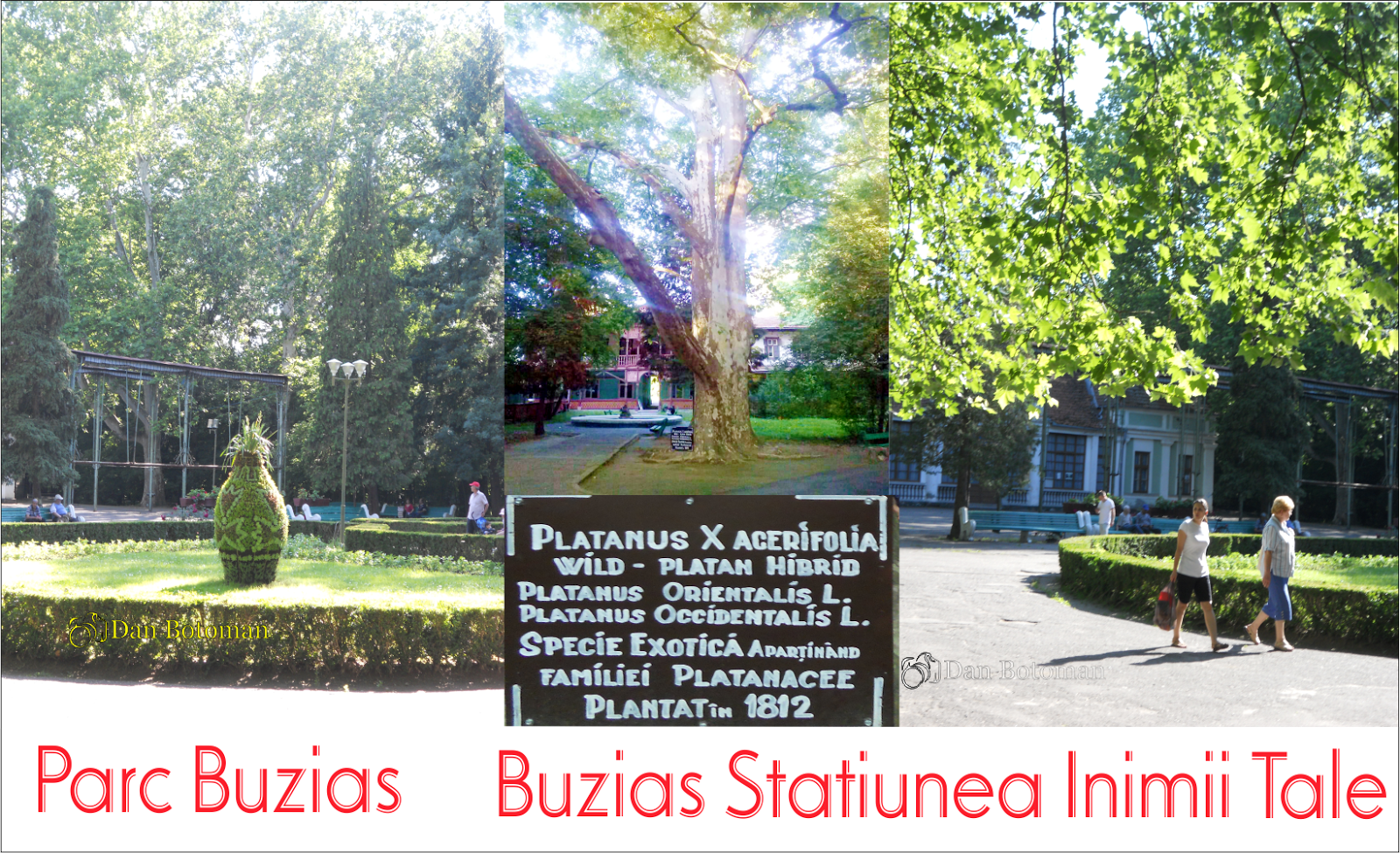 Da Culoare Vietii: Relaxare la Buzias - Statiunea inimii tale