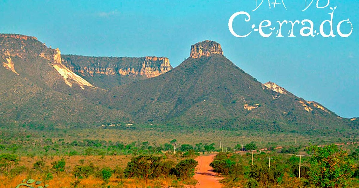 EkoConsciencia: Dia do Cerrado