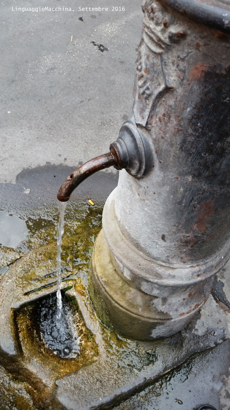 L'importanza del Nasone, fontanella di Roma