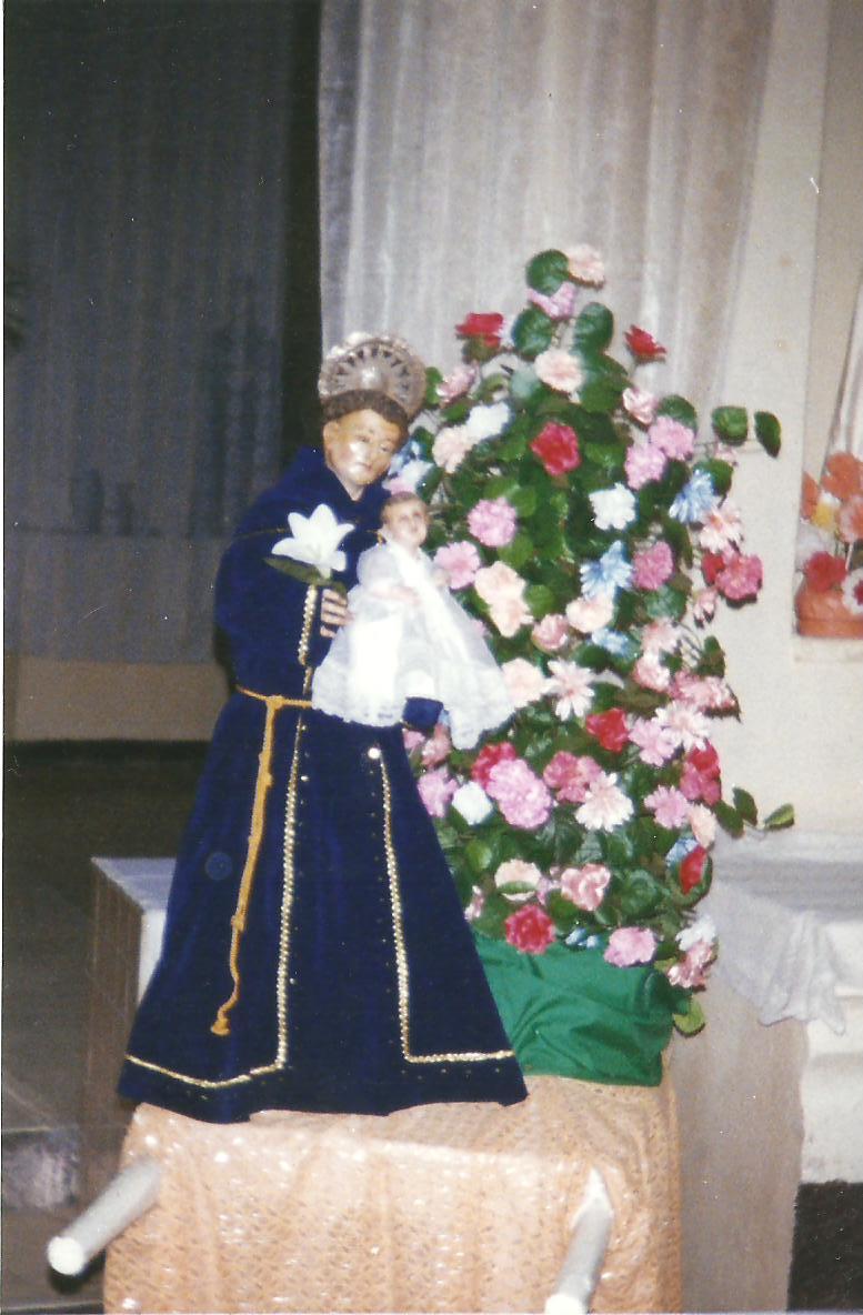 MI VOZ, MI PALABRA: Etnografía Guancasco Villa de San Antonio y Yarumela