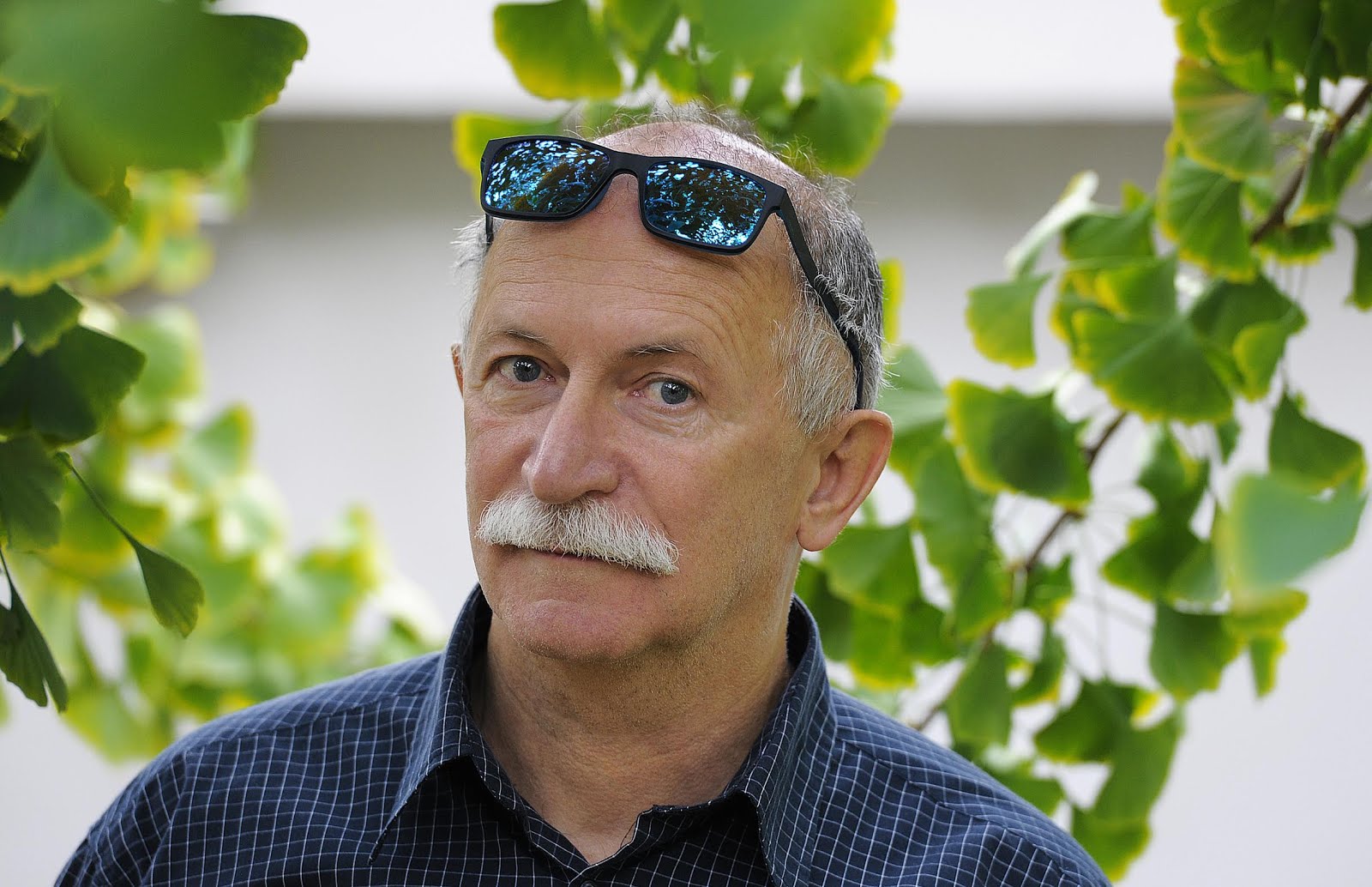 Oláh Tibor fotóművész blogoldala: Kronológia