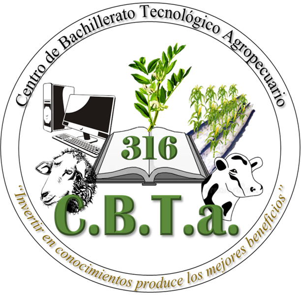 CBTA 316