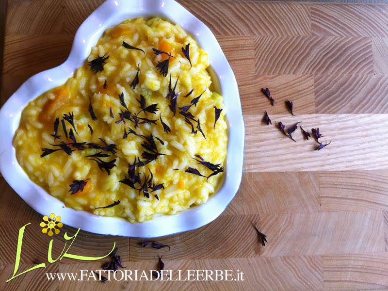 FATTORIA DELLE ERBE: RISOTTO AUTUNNALE AL FIORDALISO NERO