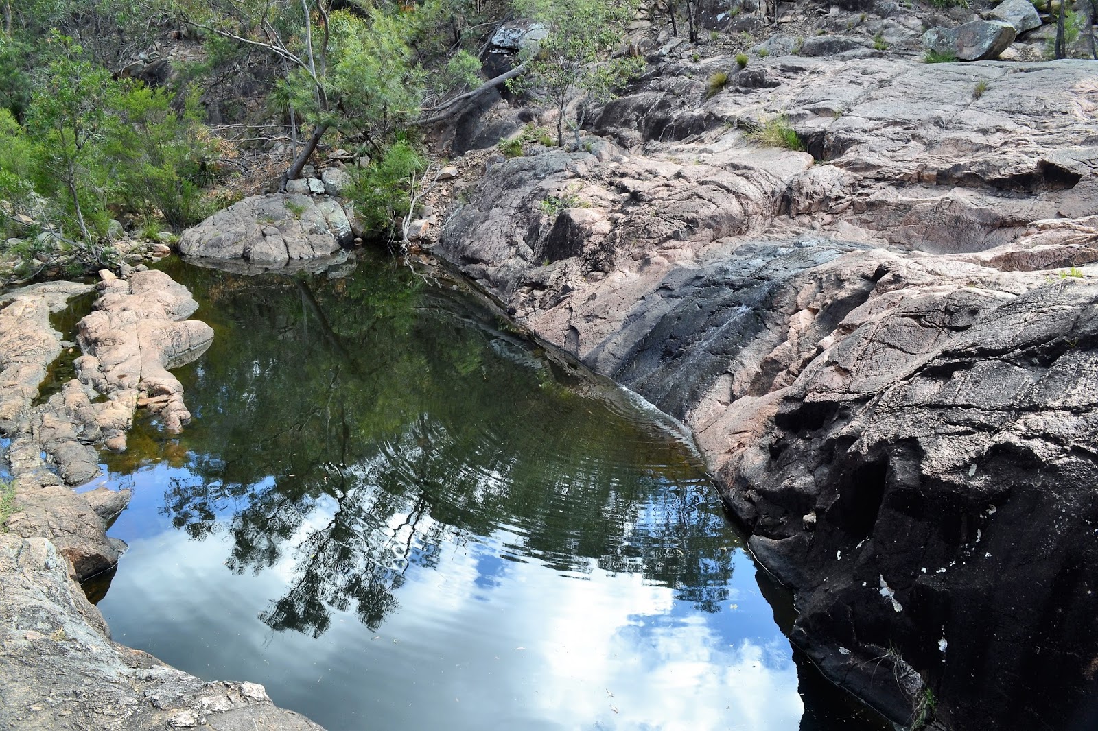 Goin' Feral One Day At A Time: Rock Pool Walk, Mount Walsh National ...