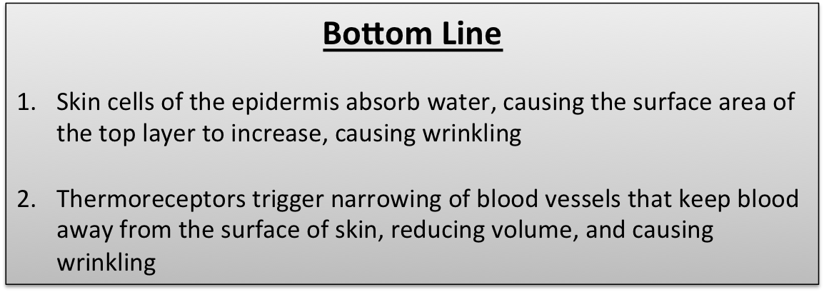 The Science Parking Lot: The Case of the Pruney Fingers/Toes in Water