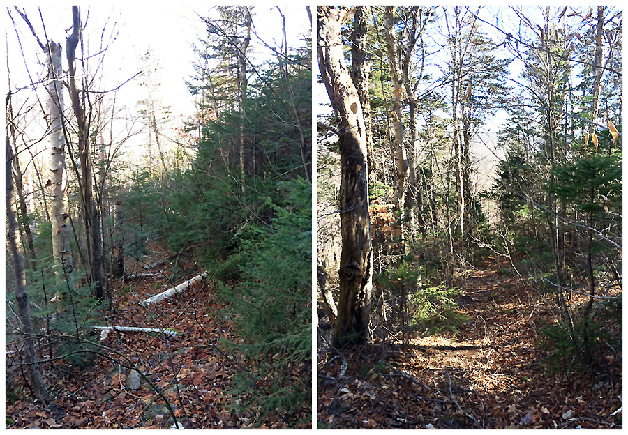 Hiking in the White Mountains: Livermore Pass and the Old Town of ...