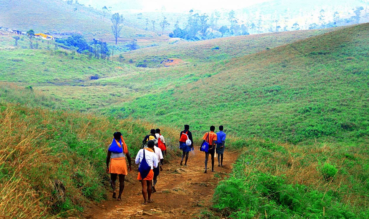 vision: Swami Saranam: Spiritual Journey Through The Deep Woods