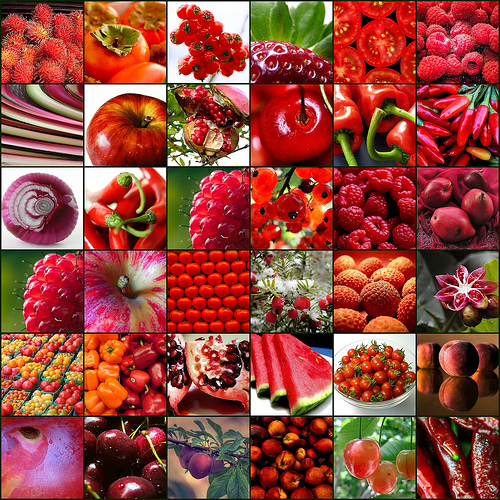 Panela ao lume: Beneficios dos frutos vermelhos