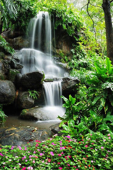 Beautiful Nature Images: Waterfall With Flowers | Beautiful Nature And ...