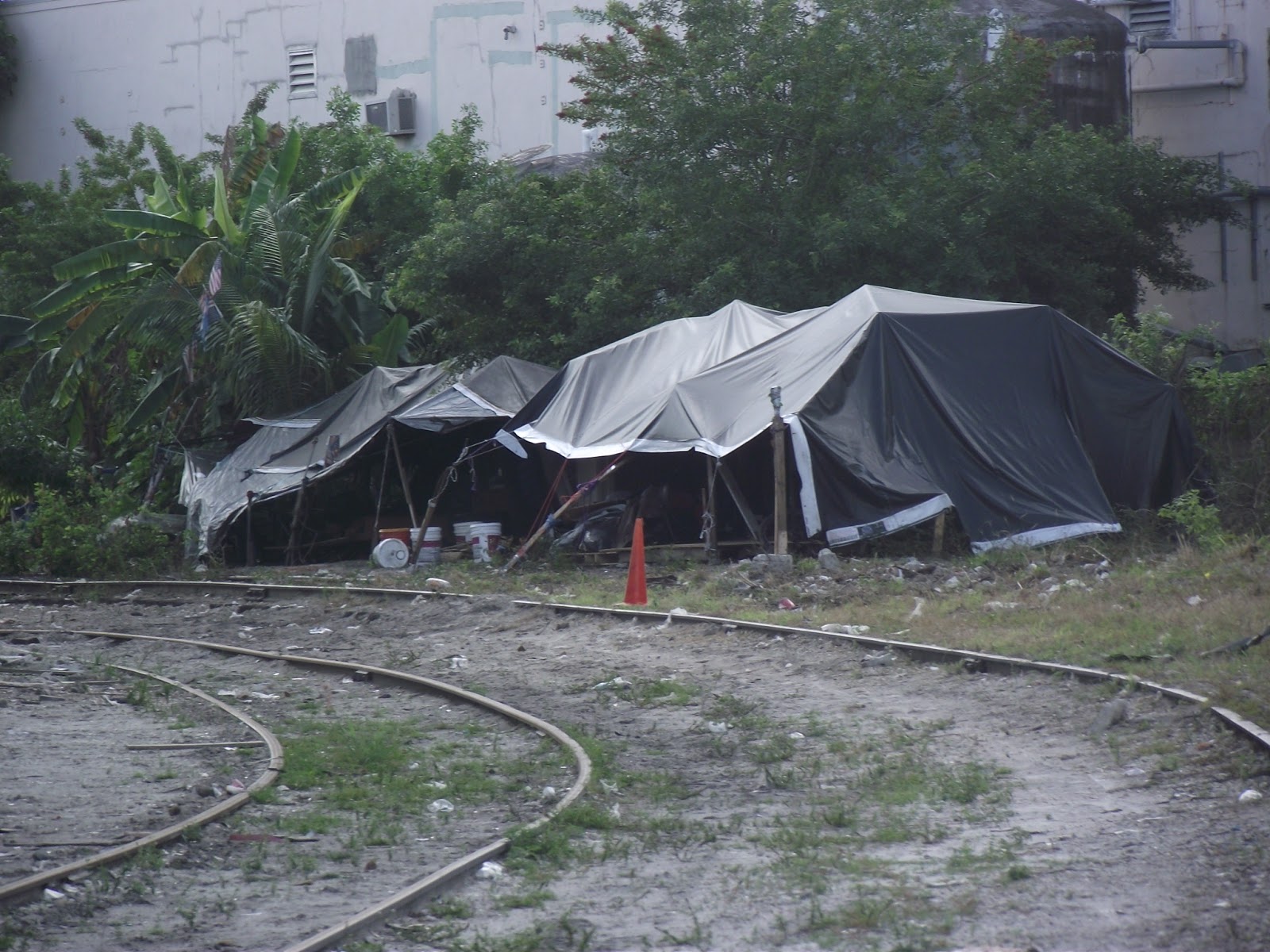 Floridians for Freedom: Ron and Lauren Book EXPOSED!: Ron Book, head of ...