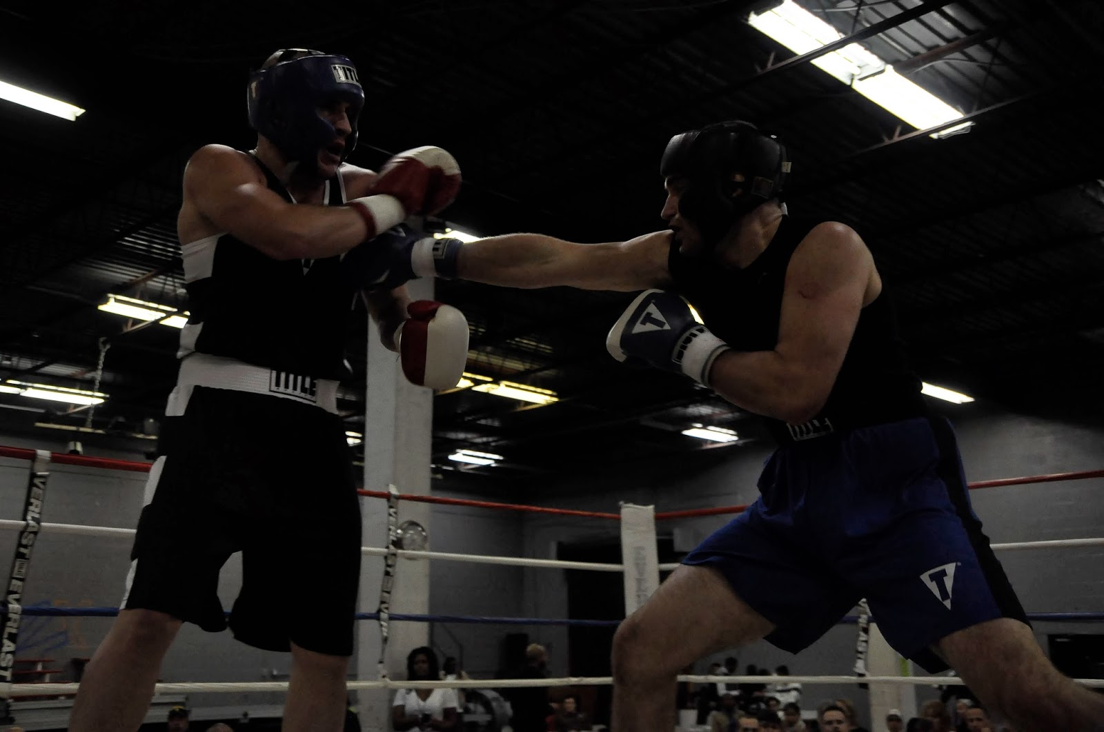 Boxing Along The Beltway: Amateur Bouts Concluded in Springfield!