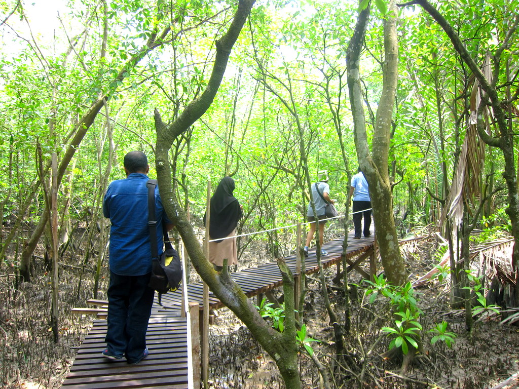 Travelholic: Sijangkang | Selangor's Natural and Intangible Wonders