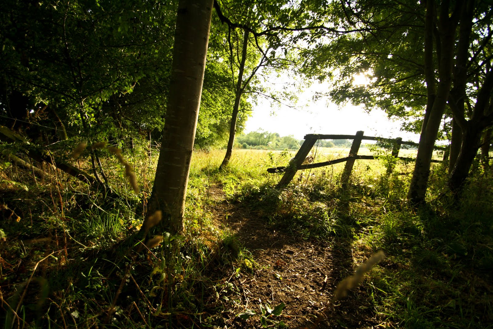 Dom Fleming Photography: August 2011