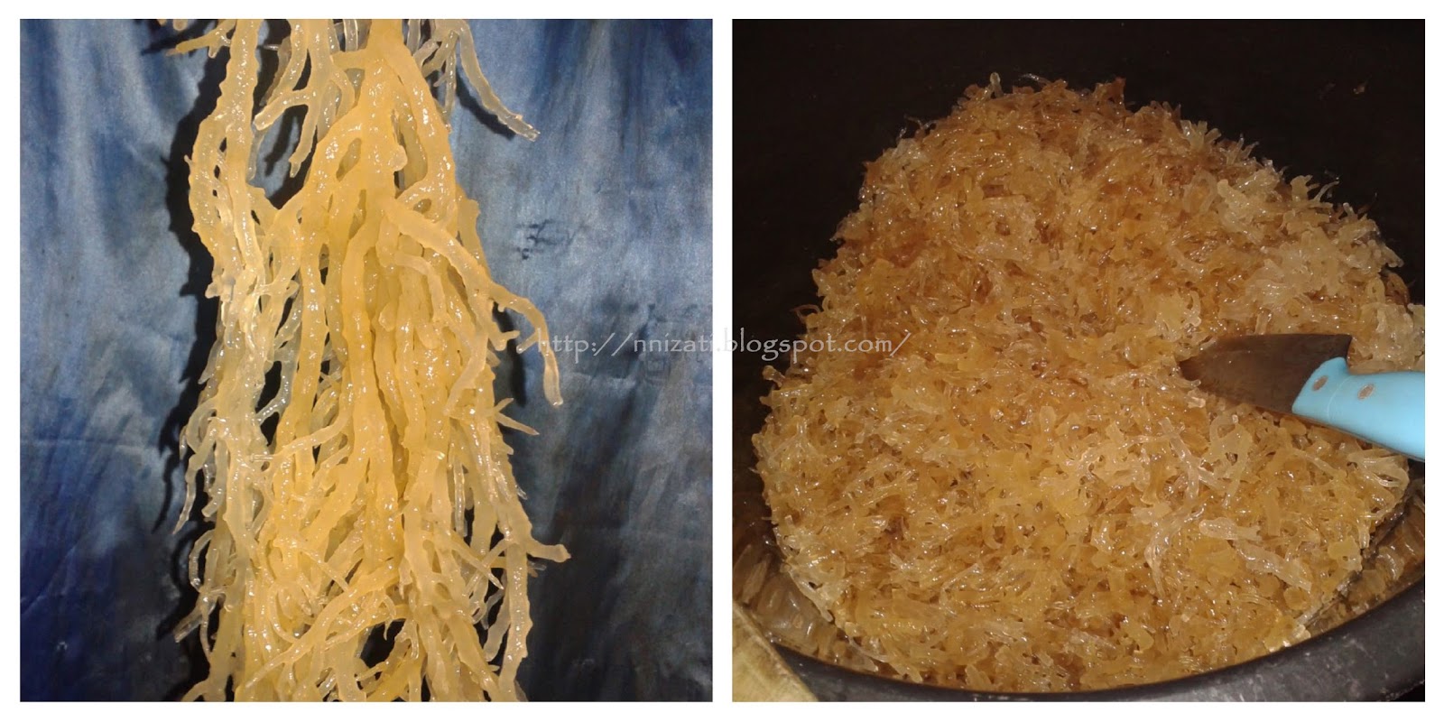 Resepi: Kerabu Rumpai Laut - ☞ NN Izati