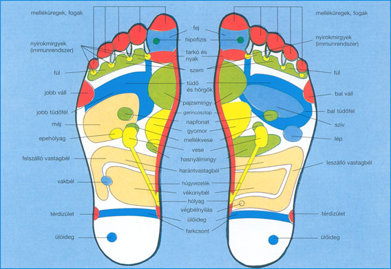 Természetes egészség