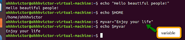 Shell Scripting 2- Linux variables - Linux
