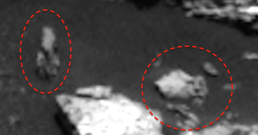 UFO SIGHTINGS DAILY: Faces and Crab Found On Mars In Newest Curiosity ...