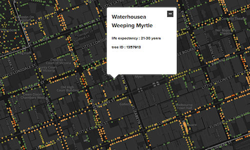 The Presurfer: Explore Melbourne's Urban Forest