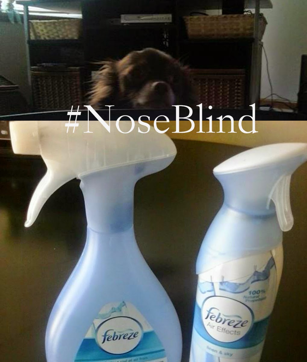 Life According To GreenVics: Do you suffer from Noseblindness? Febreze ...