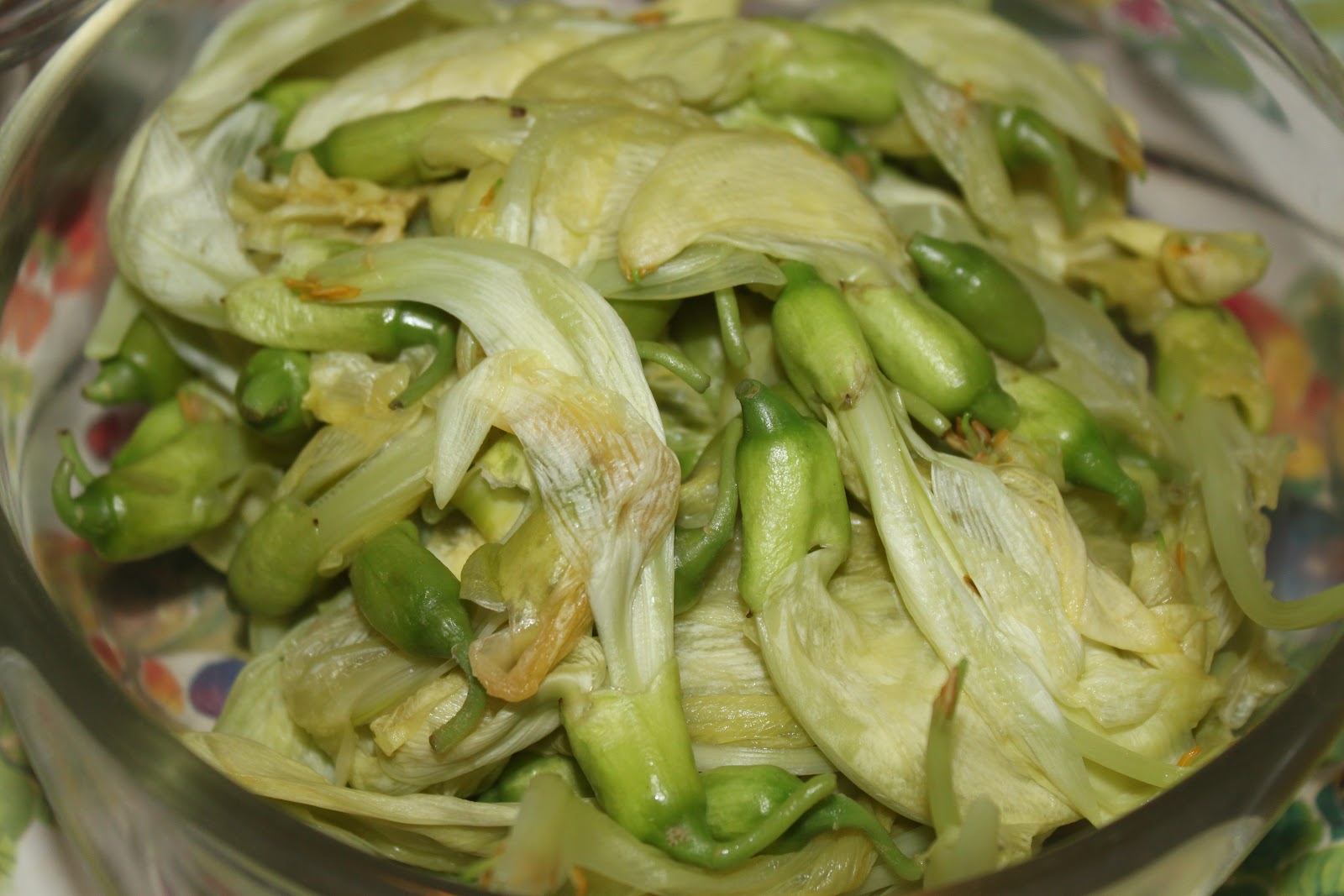 Of Blossoms and Greens: Katuray (Sesbania Grandiflora)