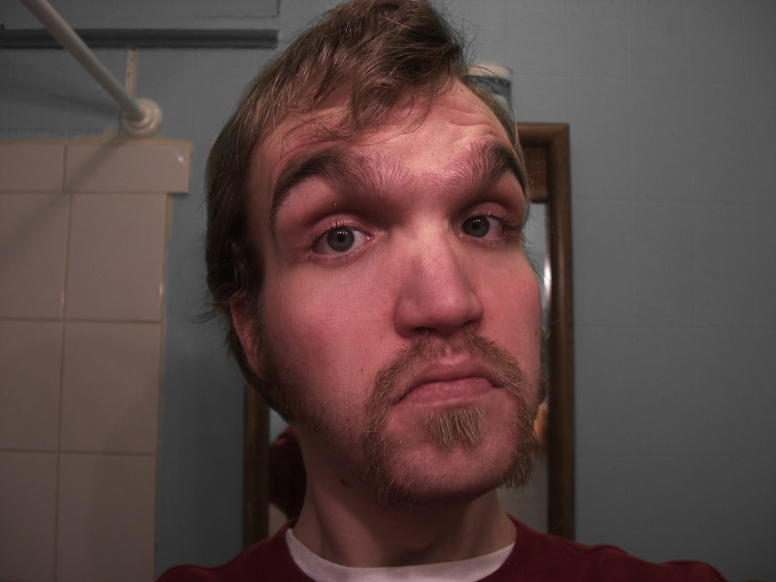 Library of Babel: The Many Faces of James Davisson: Coda