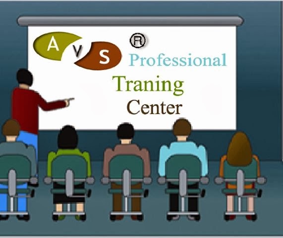 AVS Computer course's: Computer professional Accounting