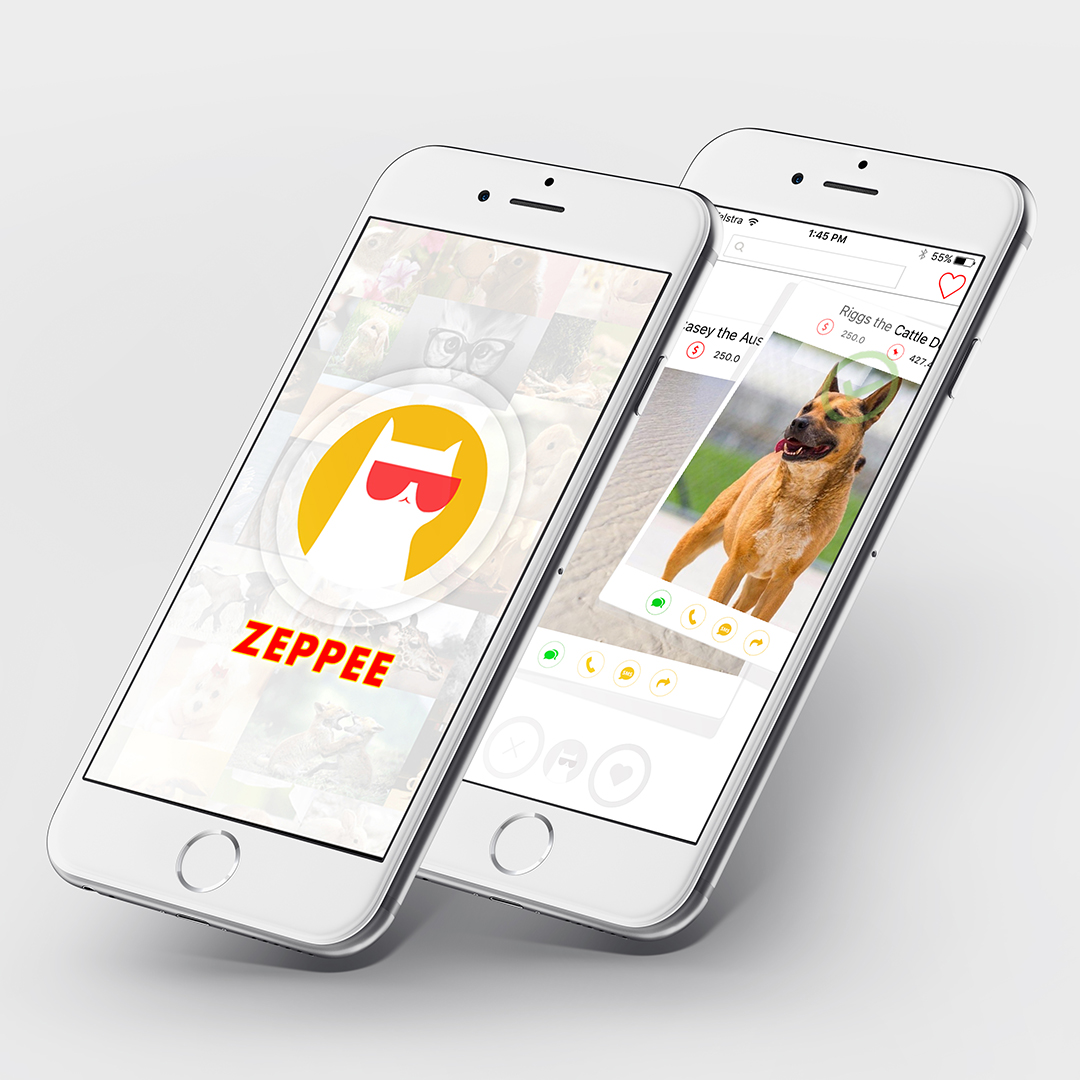 Zeppee app Review: Adopting a Pet is Easy | Australian Dog Lover