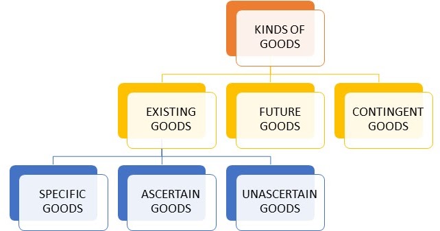Topic 3: TYPES OF GOODS