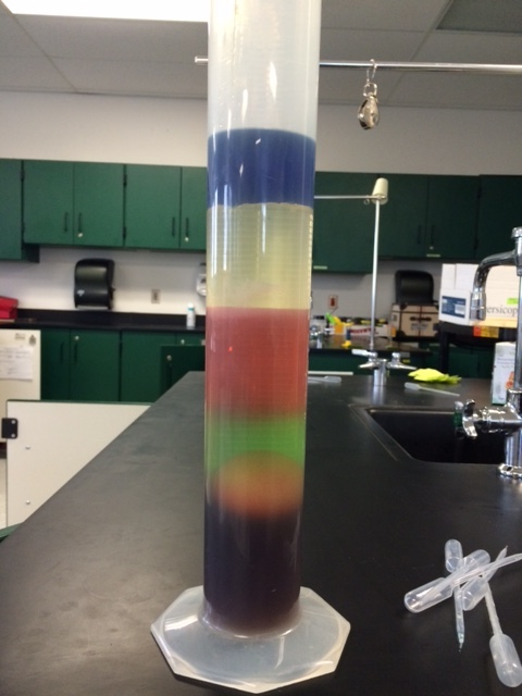 Maryanne's Science Class Ideas: 2017