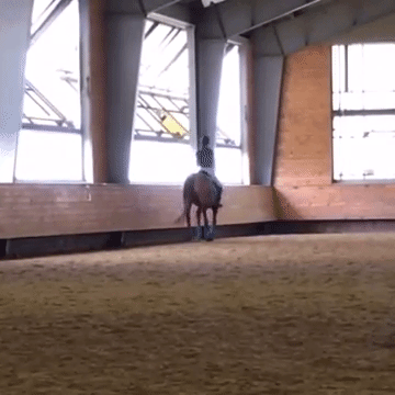 Stephen Birchall Clinic Part 1: The Defenestration of Austen