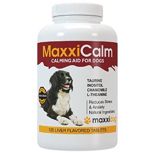 First A Dream: Tools for Ill-Mannered Dogs