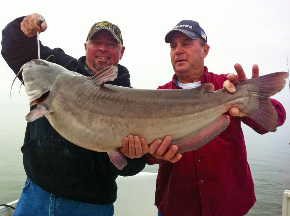 The Extreme Angler: Road Trip to Warmer Climates & Huge Fish!