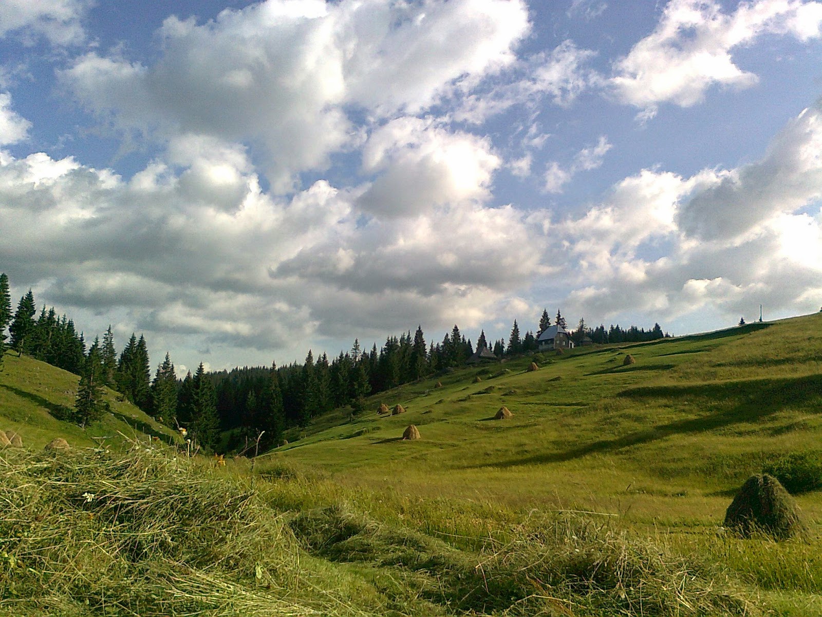 Cudesna priroda sjevera Crne Gore: DIVLJA PRIRODA - WILD NATURE