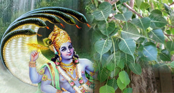 VEDIC TREE: सोमवती अमावस्या और सर्वार्थसिद्धि योग का शुभ संयोग, 16 ...