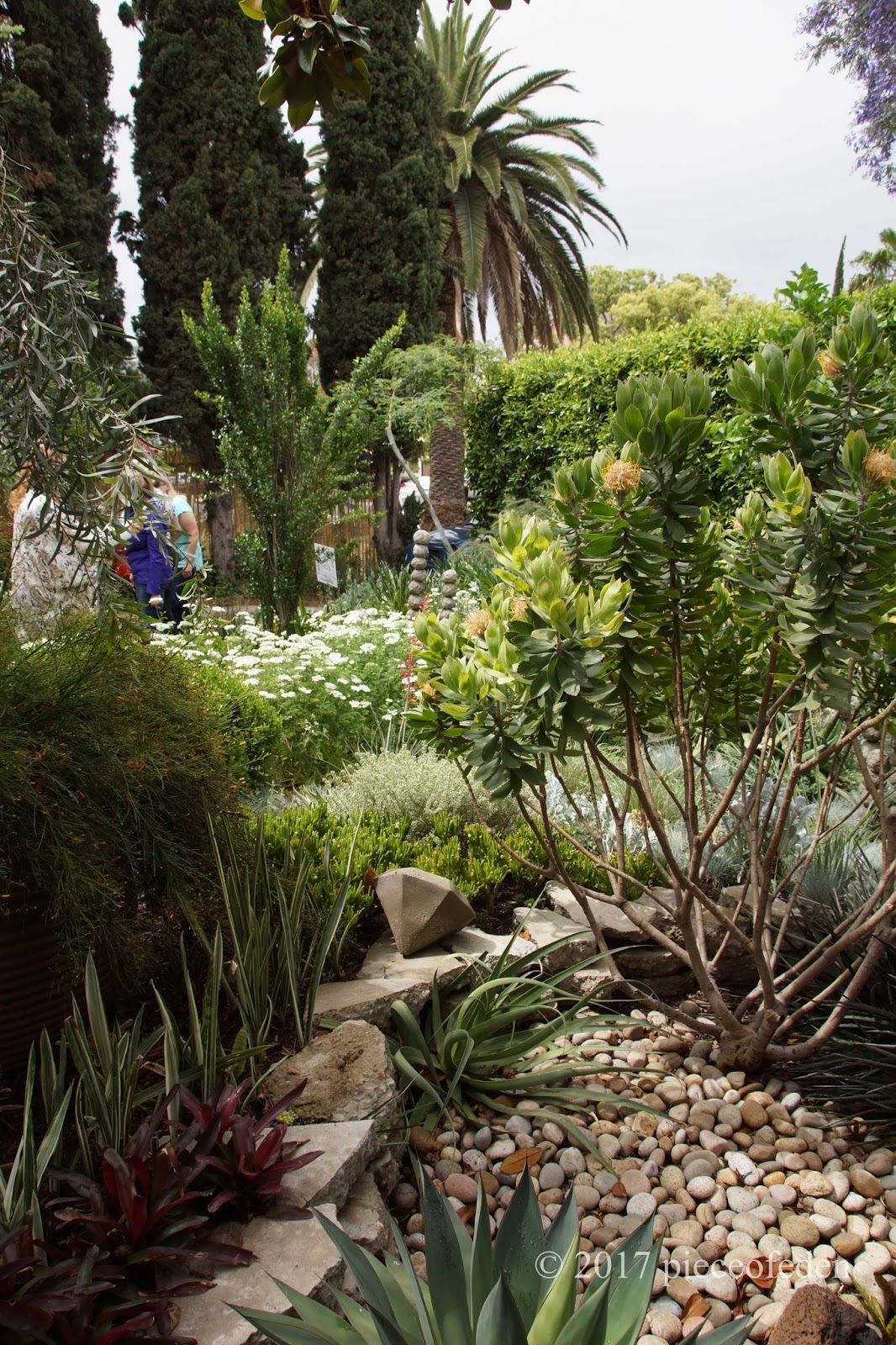 Beautiful California Garden #2