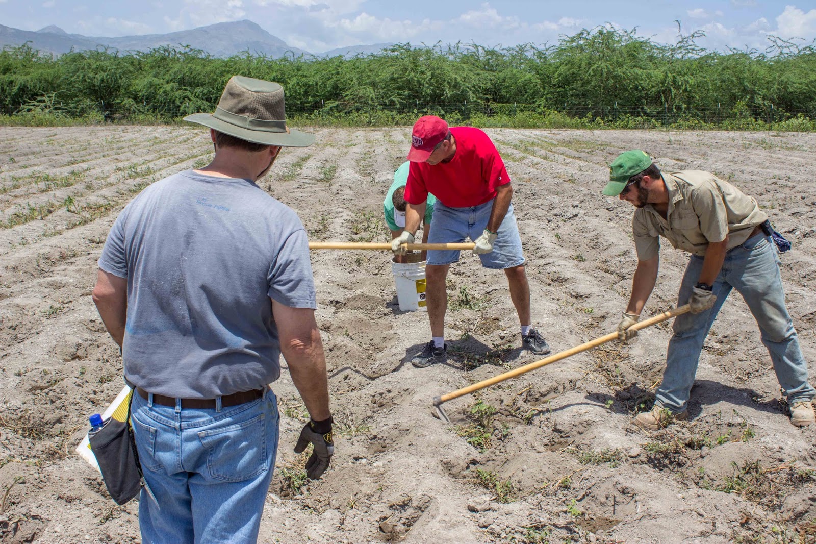 Jim & Cheryl Warner: Corn, Construction and Crafts