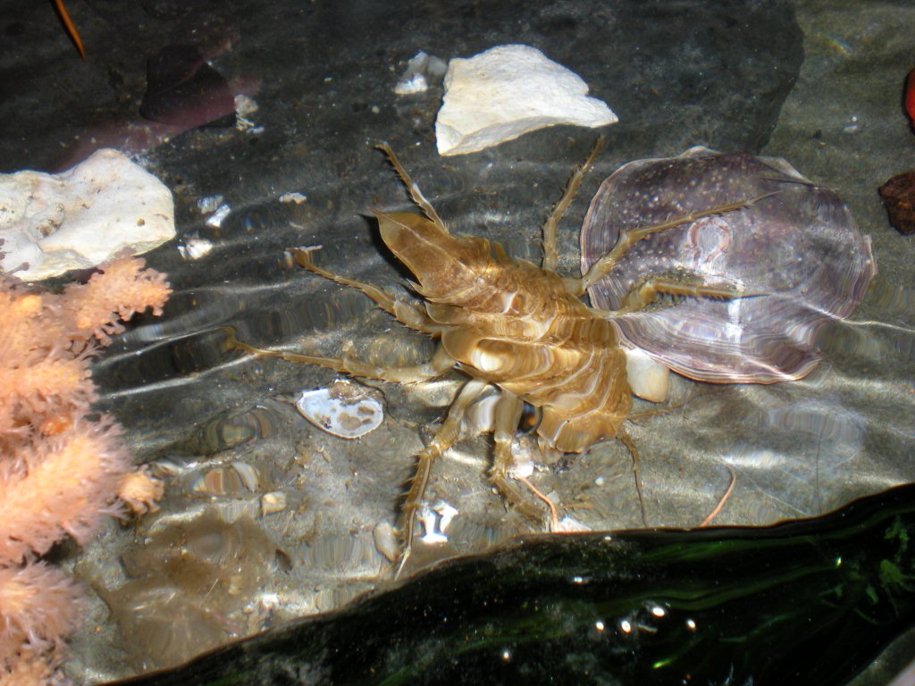 To Antarctica: A visit to Crary Lab