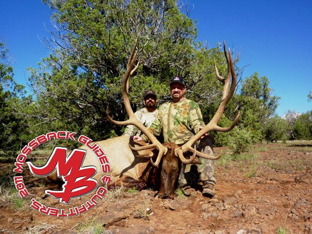 A3 Trophy Hunts LLC : 2011 Arizona Elk