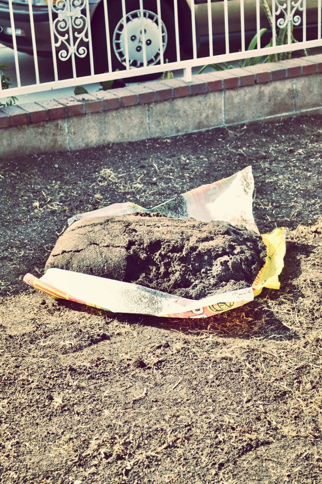 Where the Blue Birds Nest: DIY - Front Yard Reseed Project - Day 2